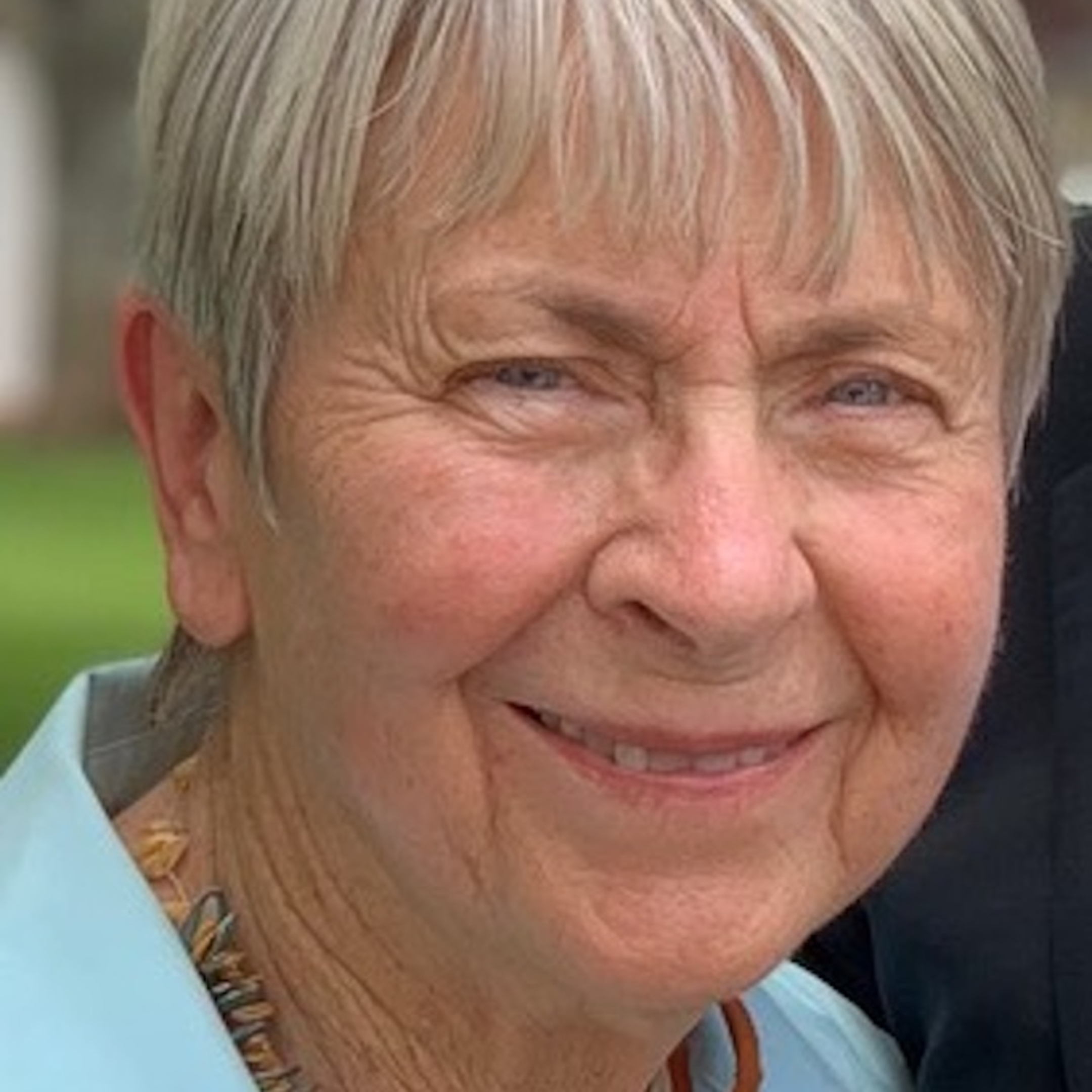 See St. George Chapter Scholarship Banquet. November 11, 2022 Honoring A. Gail Smith at BYU ...