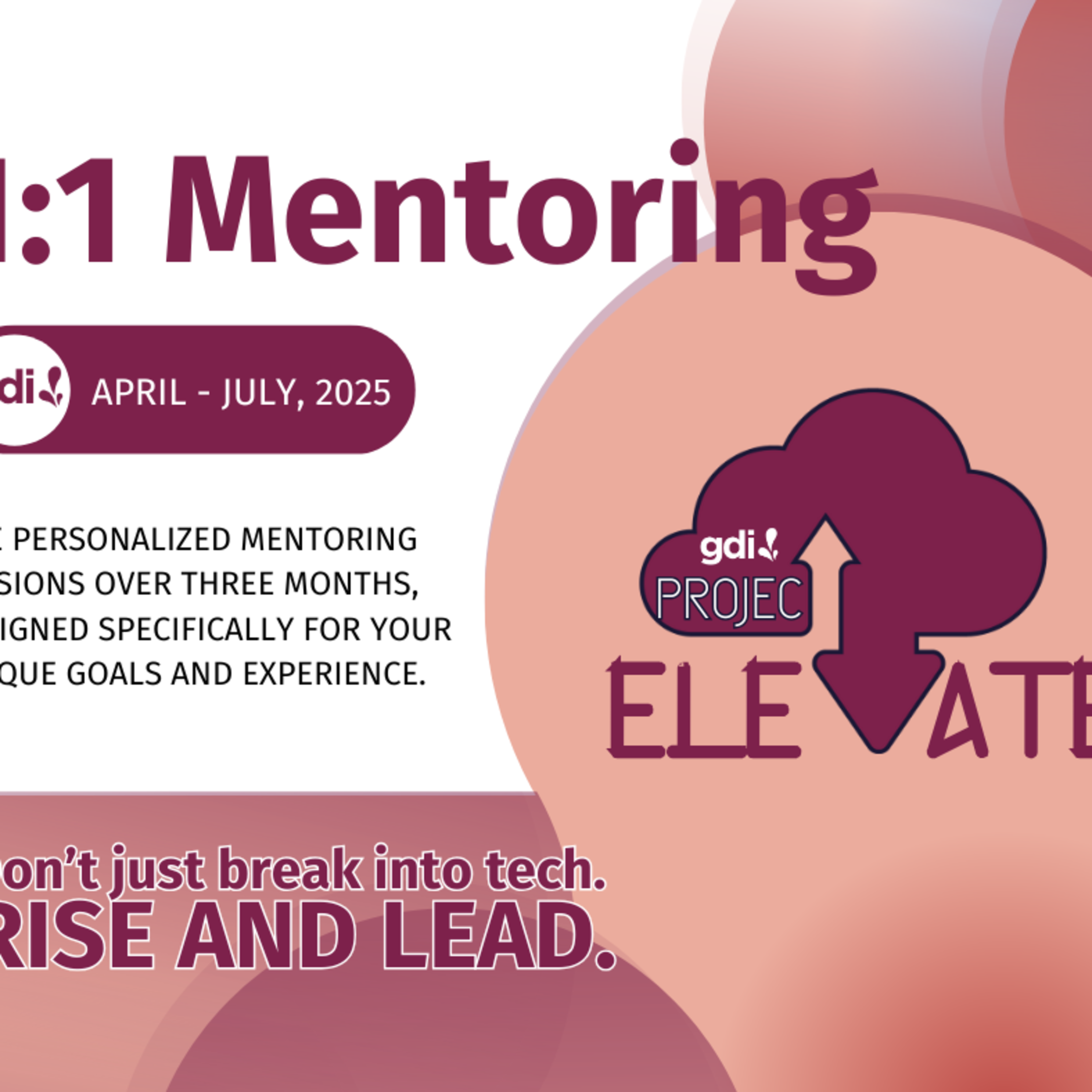 See Project Elevate 1:1 Mentorship, Spring at Girl Develop It Career ...