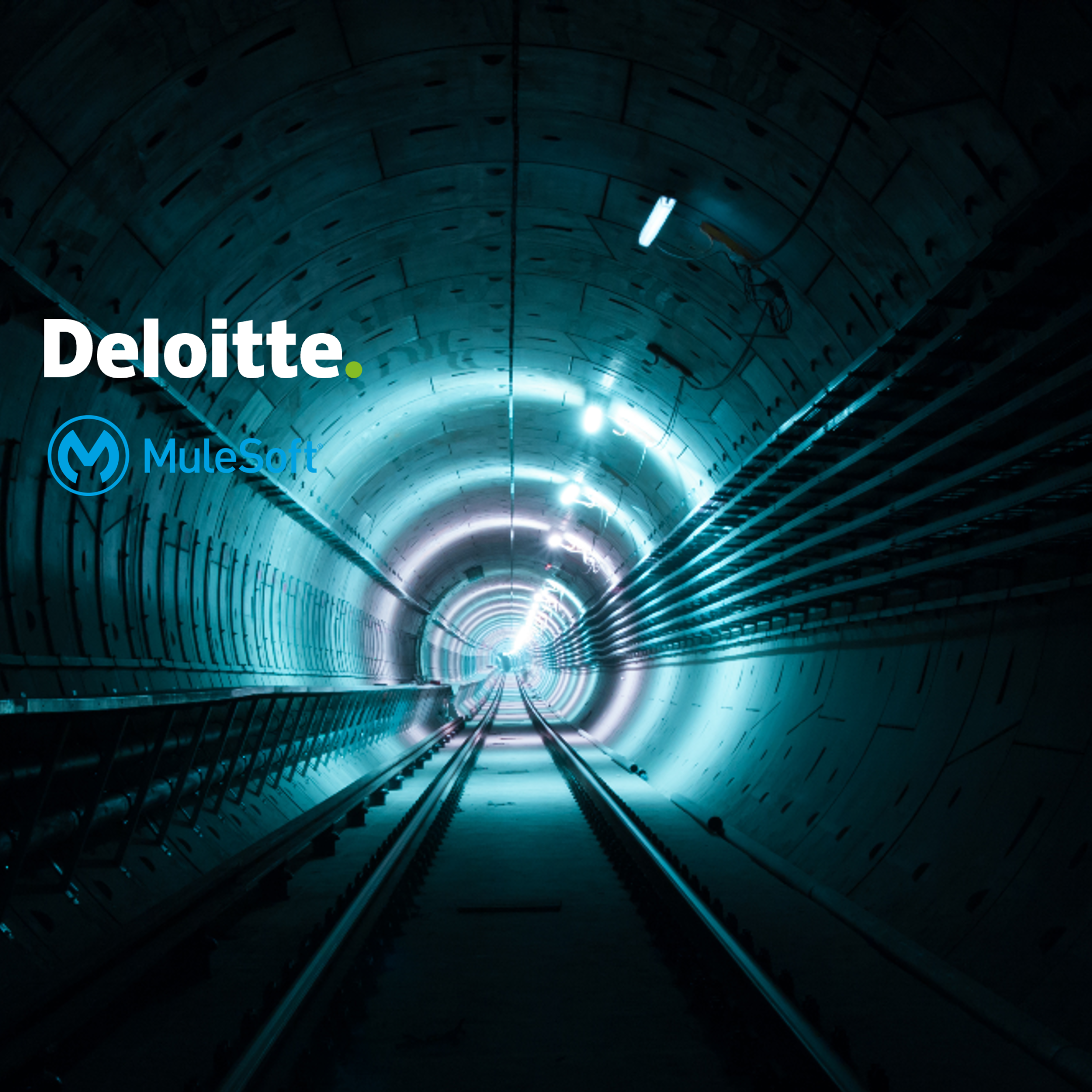 See Deloitte + MuleSoft: B2B Digital Transformation with Anypoint ...