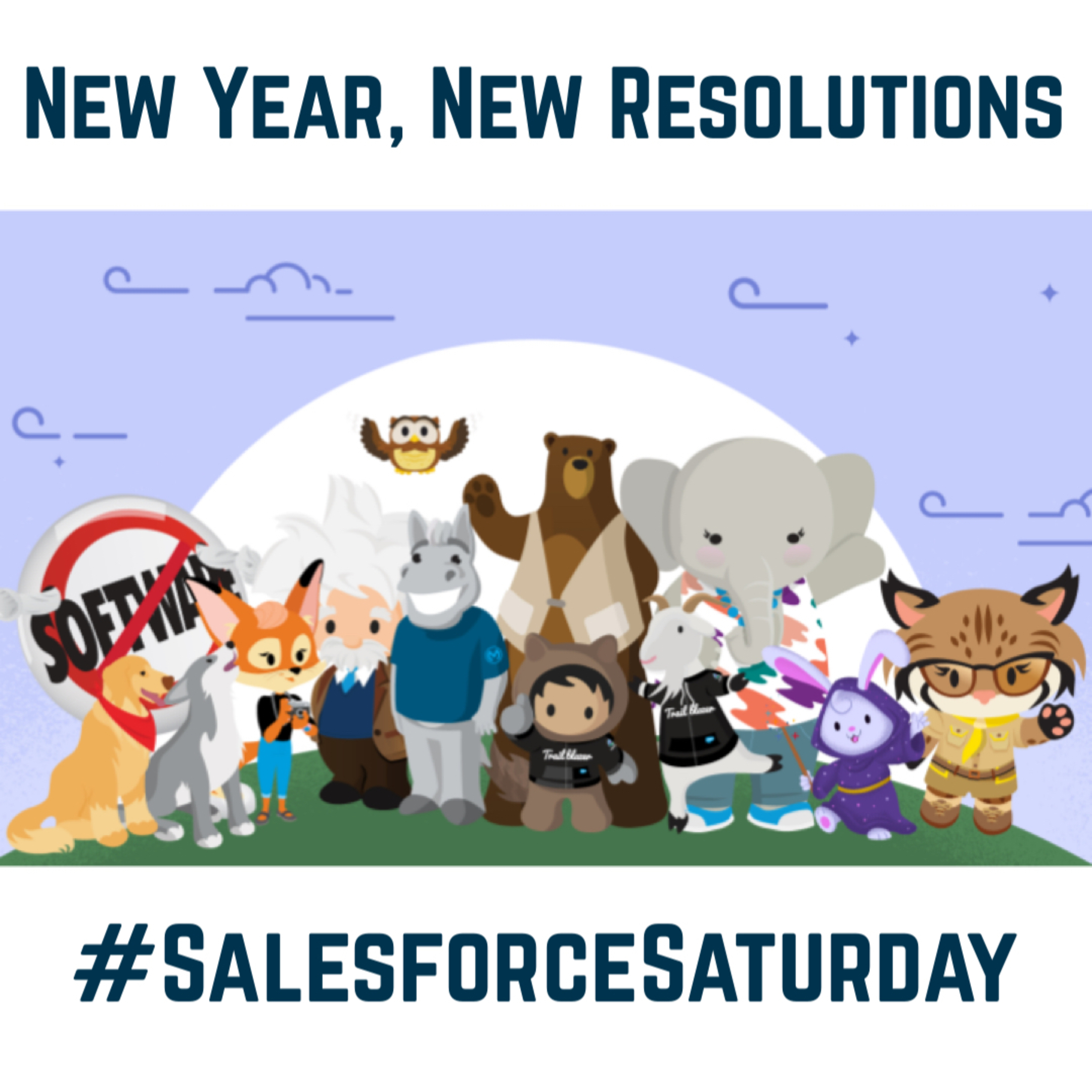 See Salesforcesaturday New Year New Resolutions Meetup At Trailblazer Community Salesforce