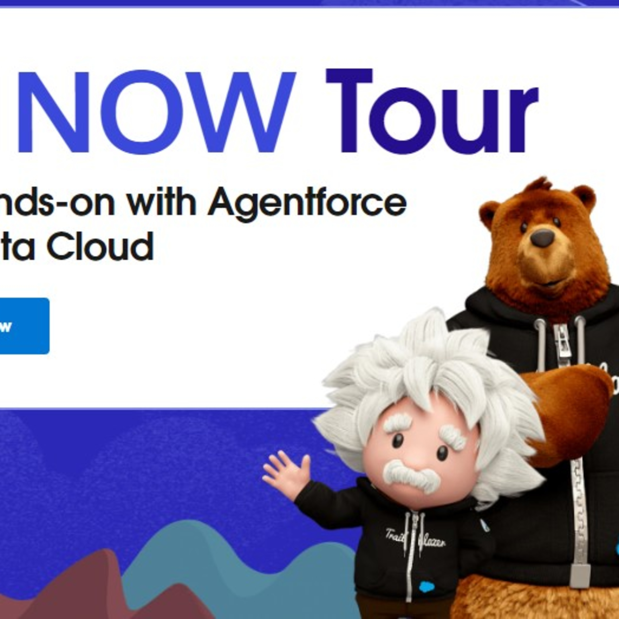 See AI Now Tour Delhi ( Paid Event) 19th Oct 2024 at Trailblazer Community Salesforce Admin ...