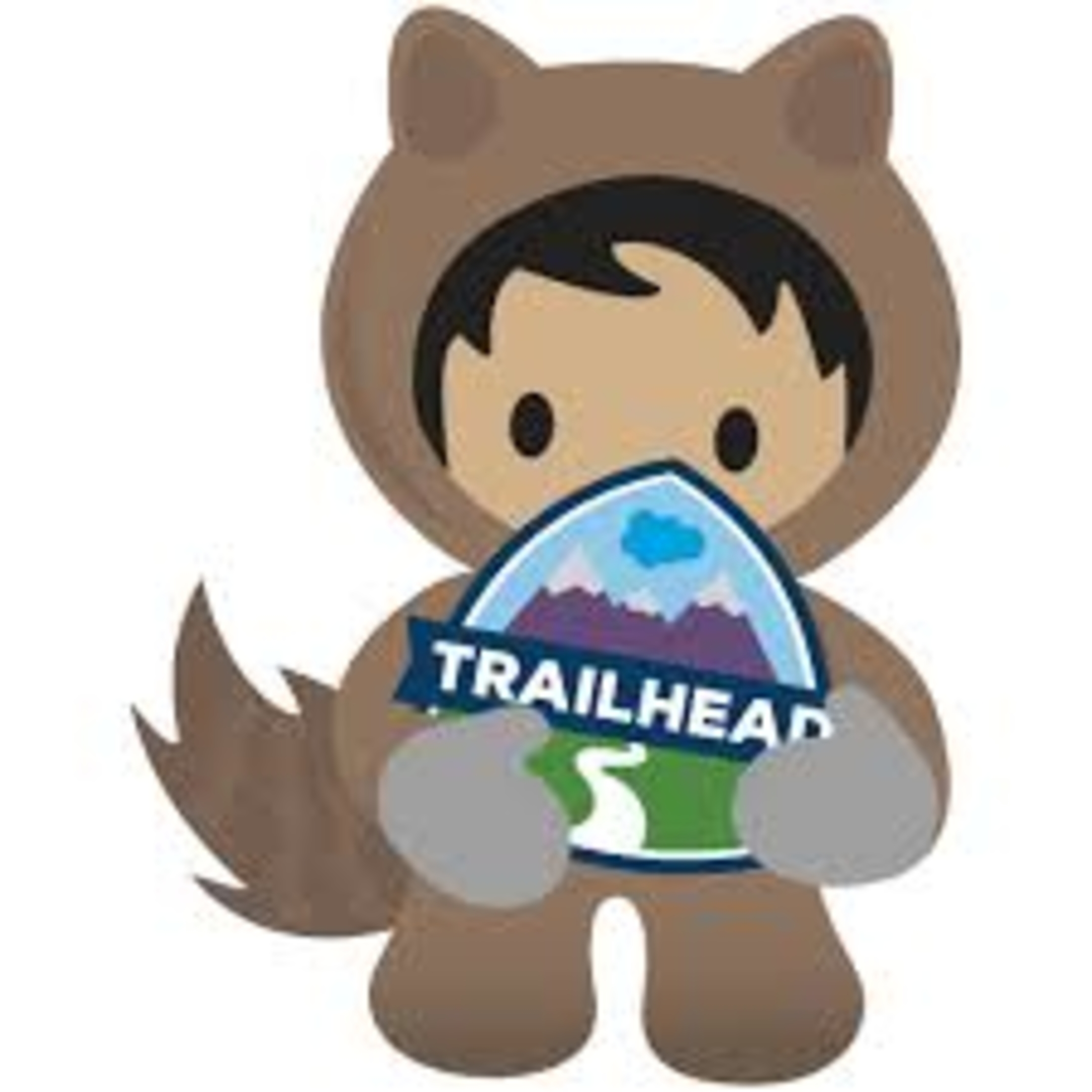 See Brussels Trailhead Saturday at Trailblazer Community Salesforce ...