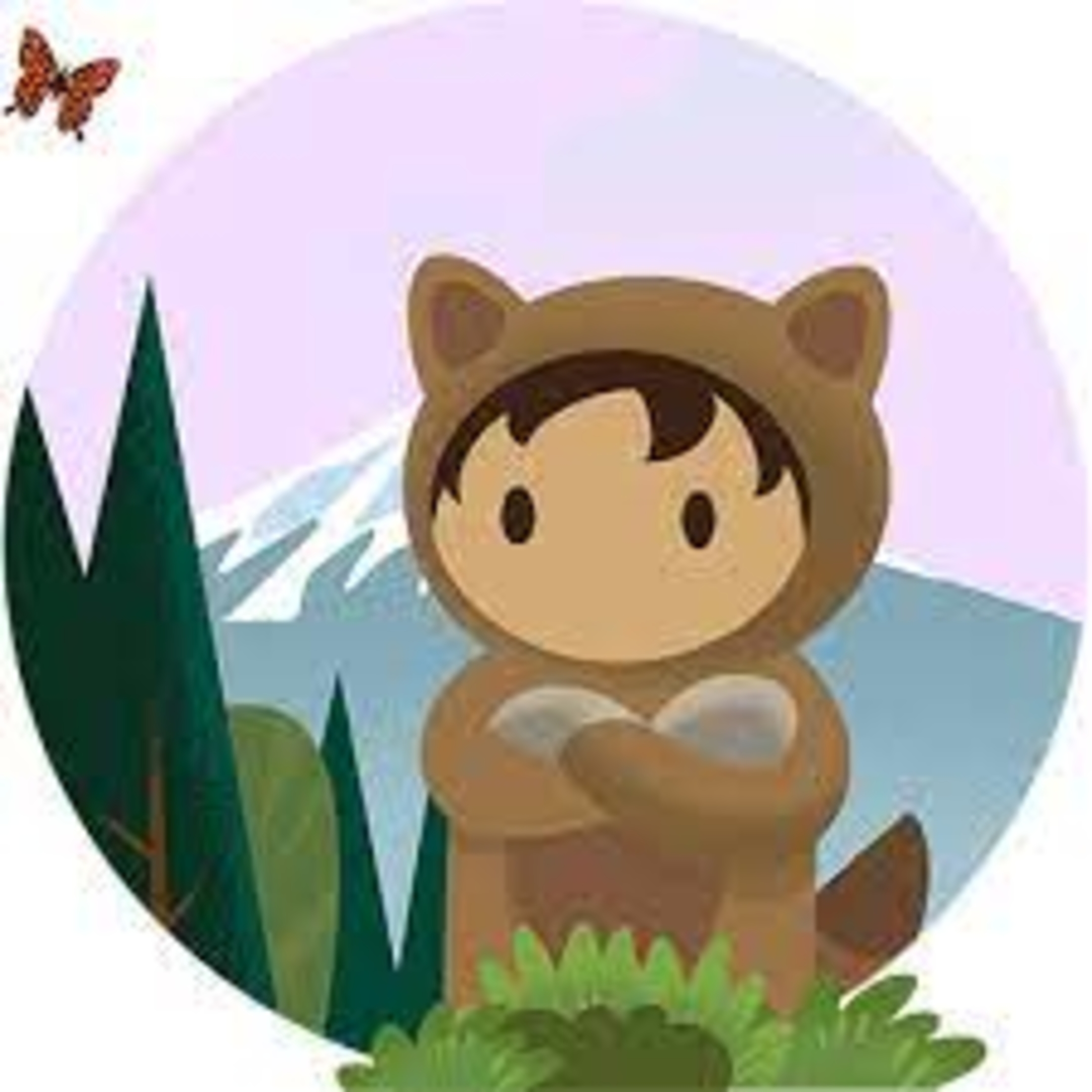 See O que um Desenvolvedor faz no Universo Salesforce - Dia 2 - Service ...