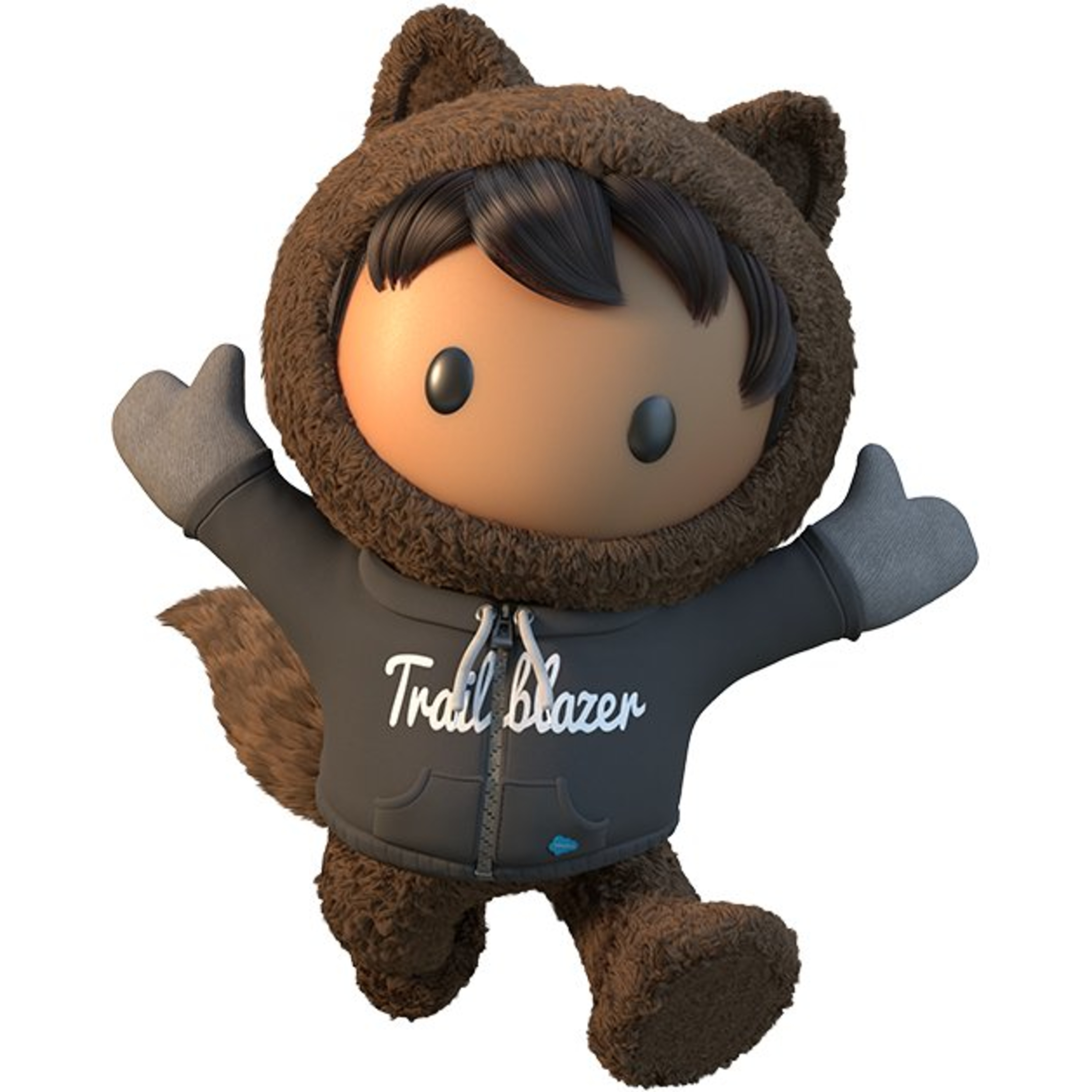 See November Trailblazer Community Meeting At Trailblazer Community Salesforce Admin Group