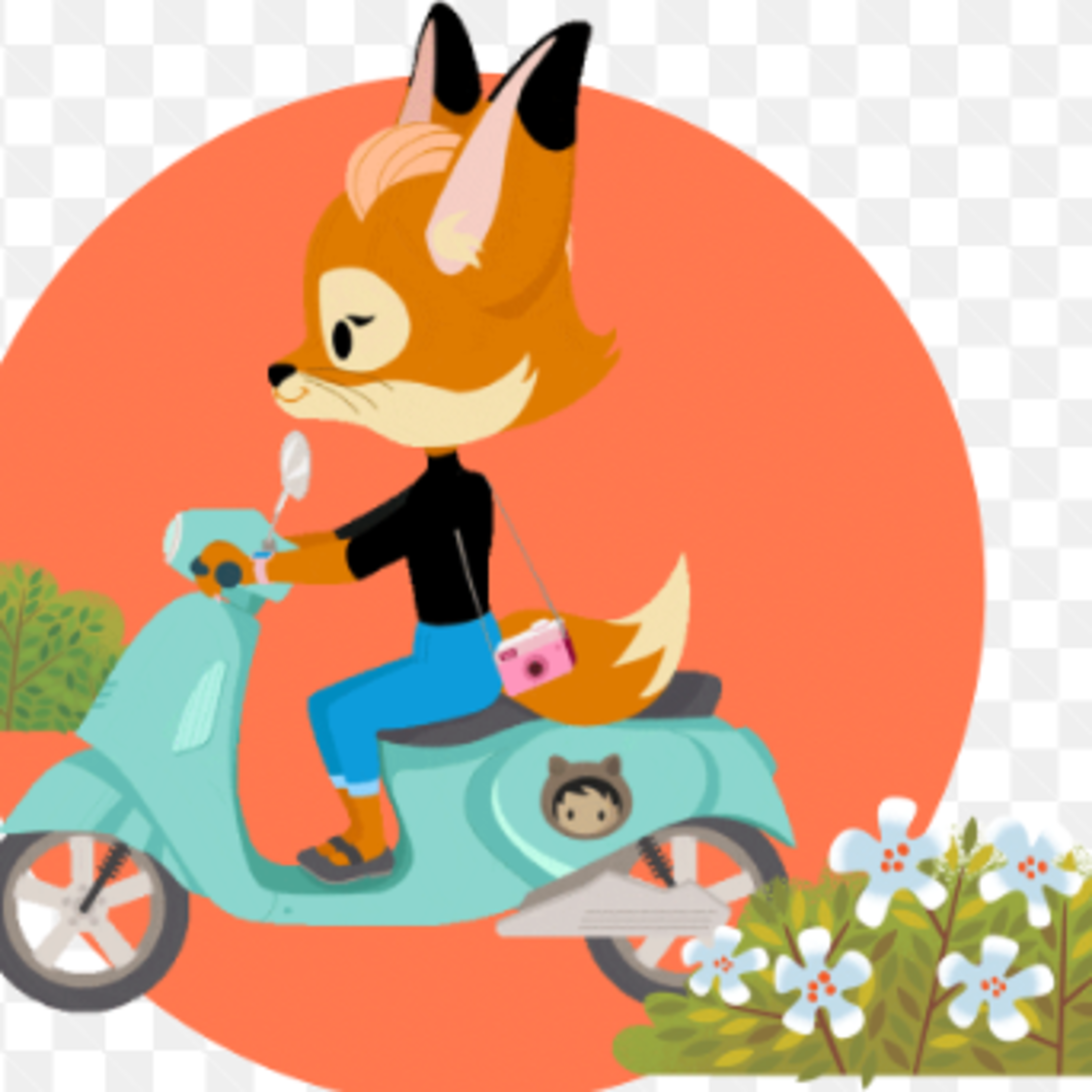 See GETTING STARTED WITH SALESFORCE MARKETING CLOUD at Trailblazer ... See GETTING STARTED WITH SALESFORCE MARKETING CLOUD at Trailblazer ...