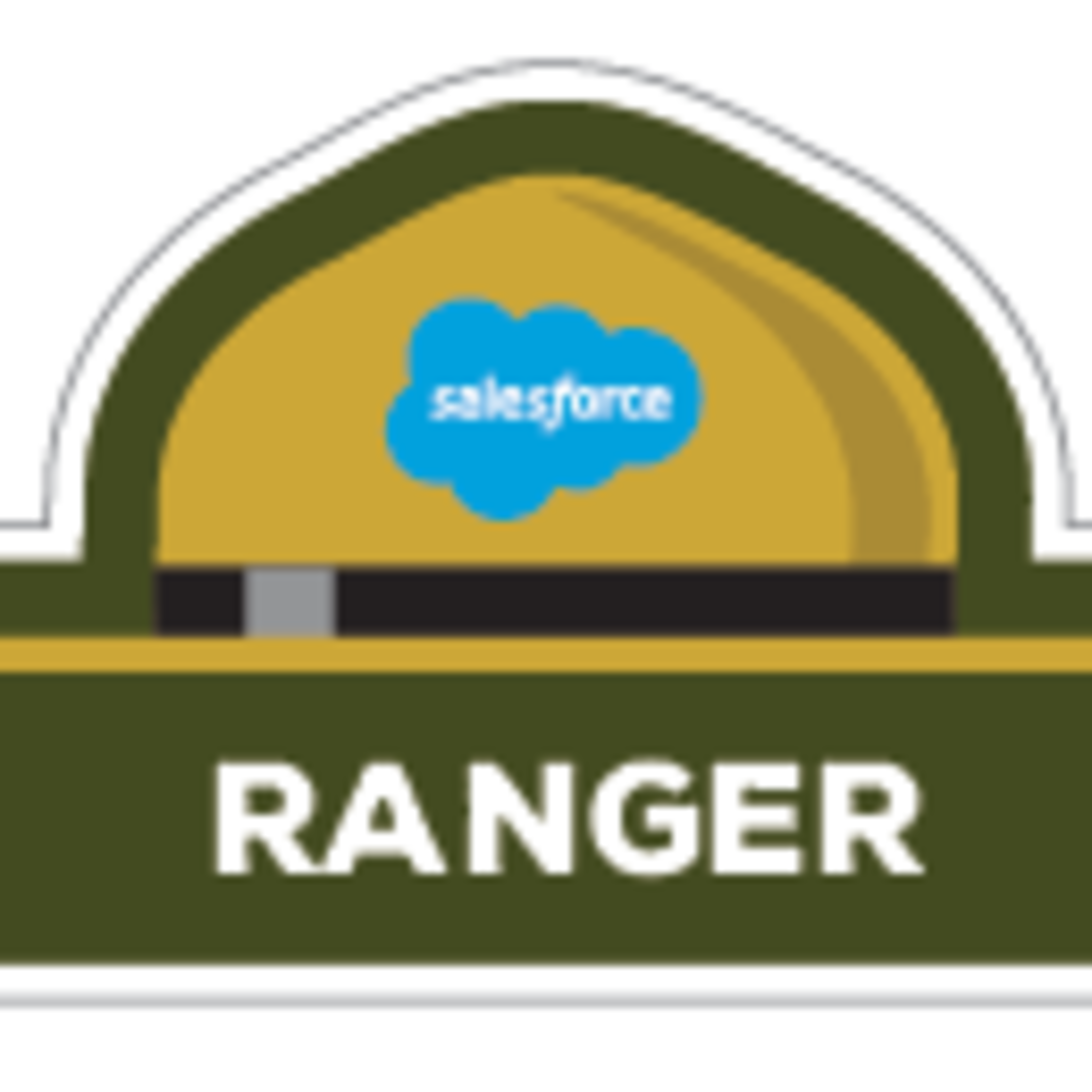 See Trailhead and Certification! at Trailblazer Community Salesforce ...