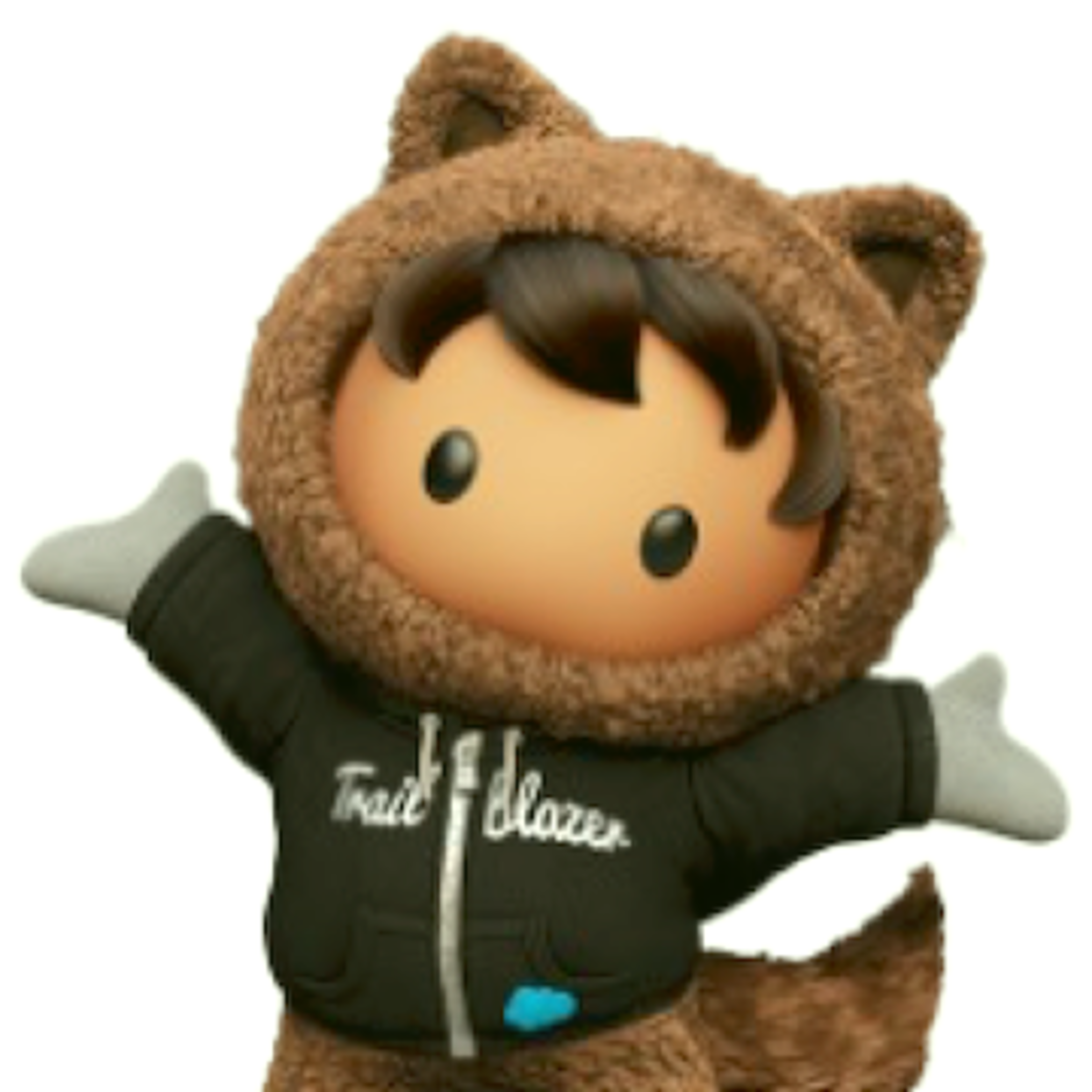 See Desvendando A Certificação Salesforce Administrator Dia 02 At Trailblazer Community