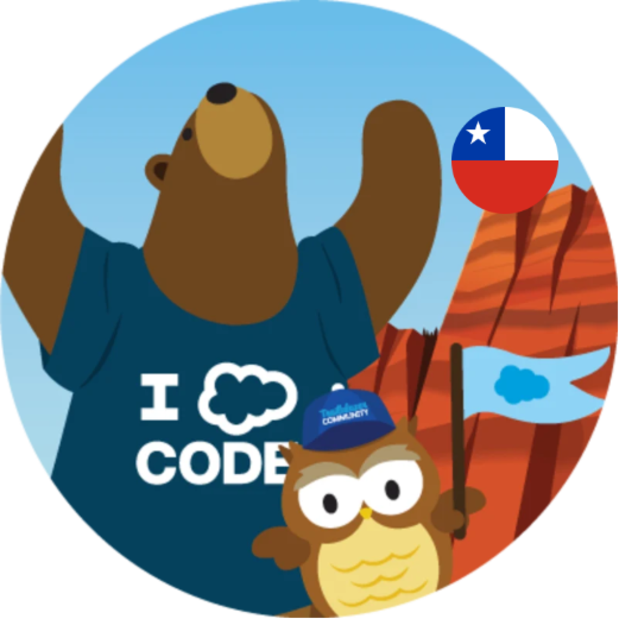 See WORKSHOP SALESFORCE CAREER PATH at Trailblazer Community Salesforce ...