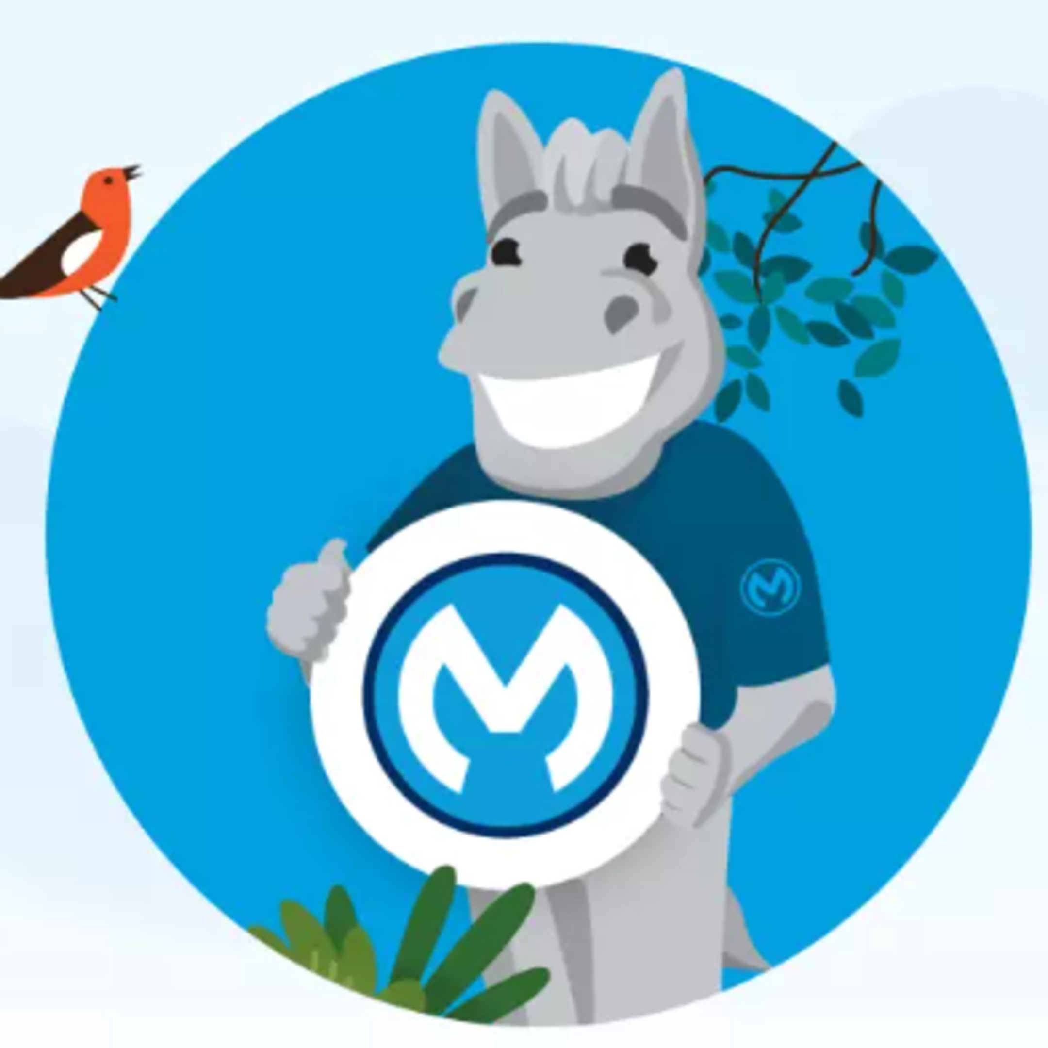 See Mulesoft Fundamentals An Introductory Guide To Integration With