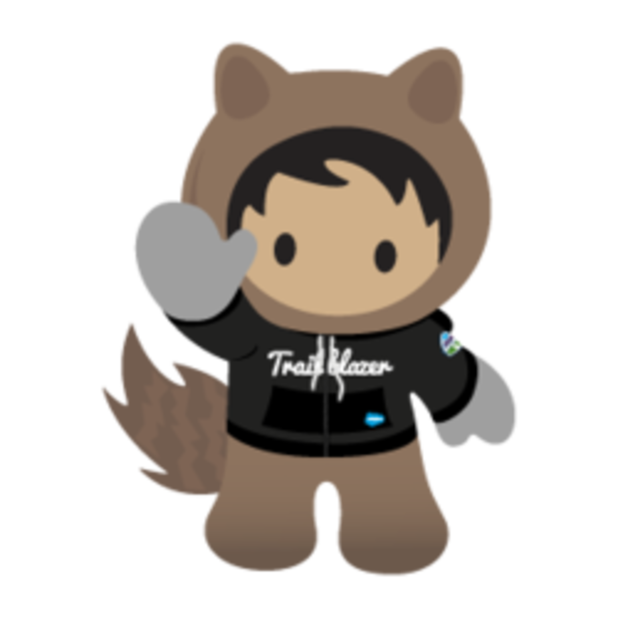 See Codificación segura en Salesforce at Trailblazer Community ...