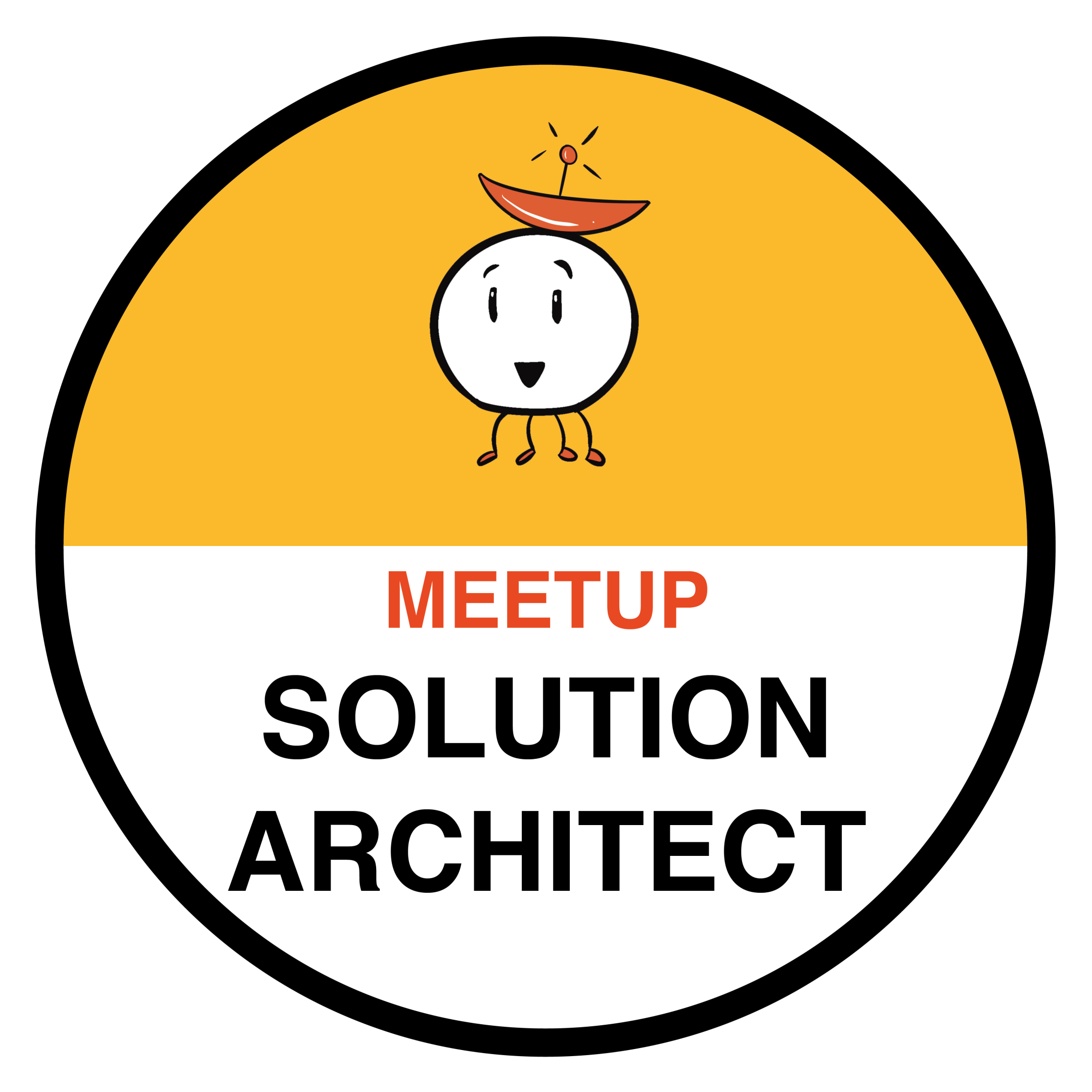 What is a Solution Architect