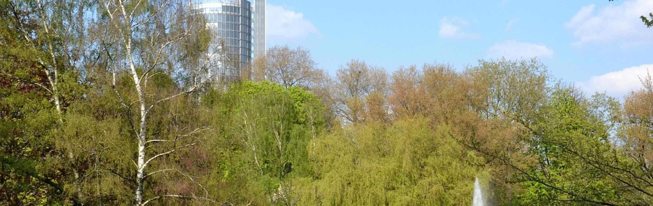MuleSoft Meetups Essen | API, Microservices and MuleSoft-focused Meetups MuleSoft Meetups Essen | API, Microservices and MuleSoft-focused Meetups