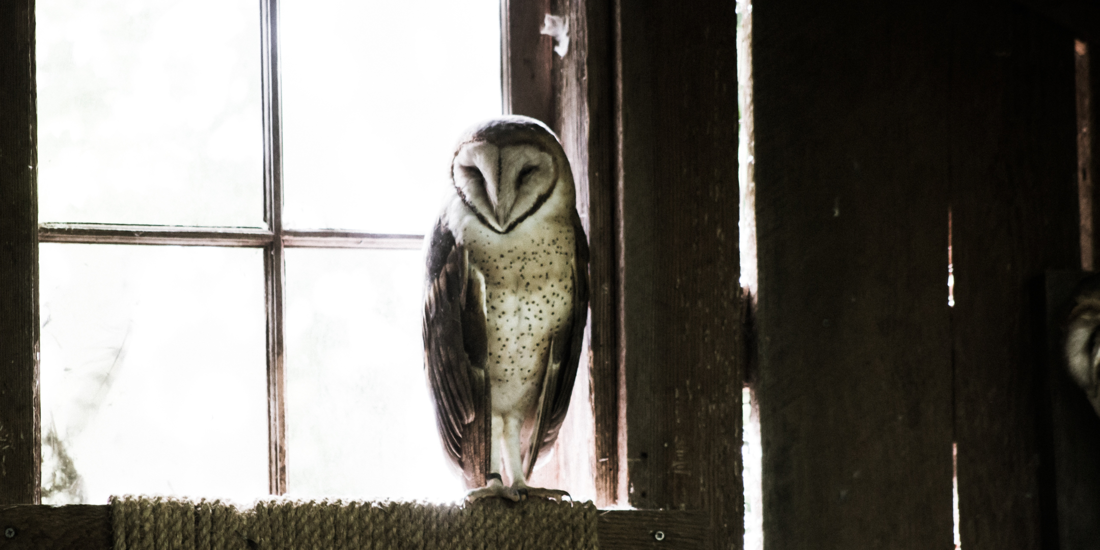 Why Night Owls Make For Better Startup Founders | Startup Grind