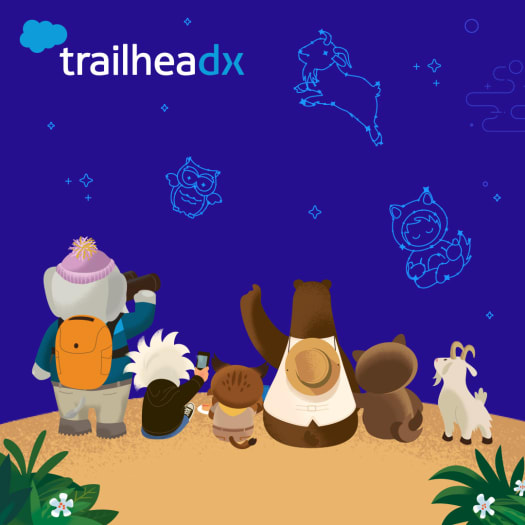 Trailblazer Community Groups Salesforce Developer Group Hyderabad India