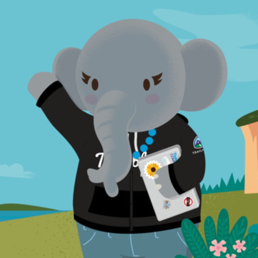 Trailblazer Community Salesforce Architect Group Paris France