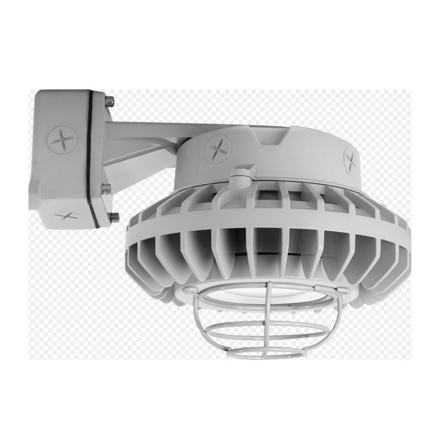 RAB Lighting HAZBLED26CF-G RAB HAZLED™ HAZBLED Hazardous Location Fixture With Wire Guard, LED ...