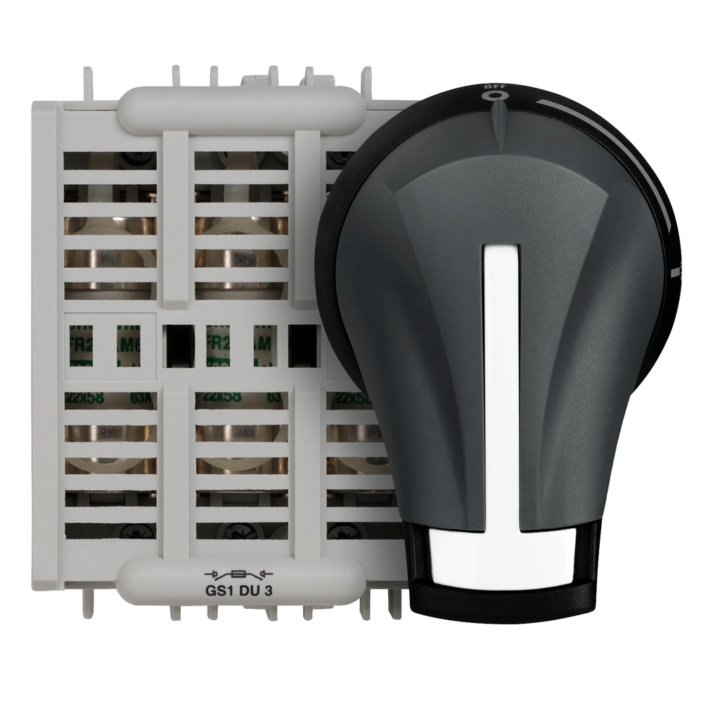 Schneider Electric TeSys™ GS GS1DU3 Fusible Disconnect Switch, 600 VAC ...