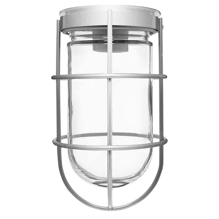 RAB Lighting VC100G Vaporproof Light Fixture, A19 Incandescent Lamp ...