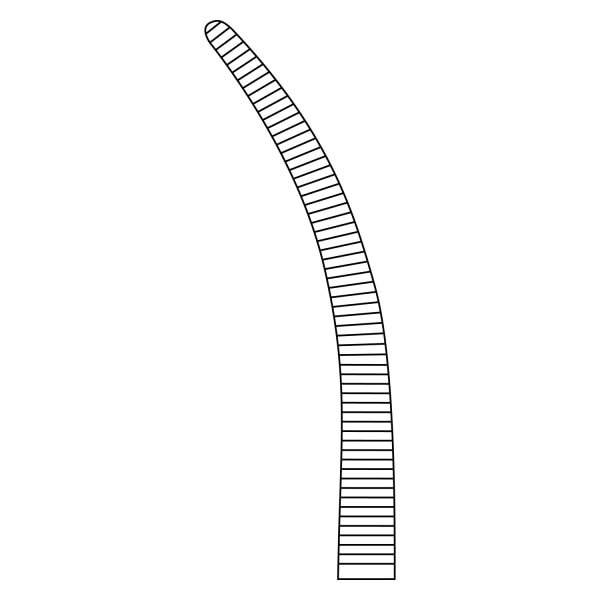 SAROT ARTERY FORCEP CVD JAW 2-1/4I5.7CM) CH1685 | Shop STERIS