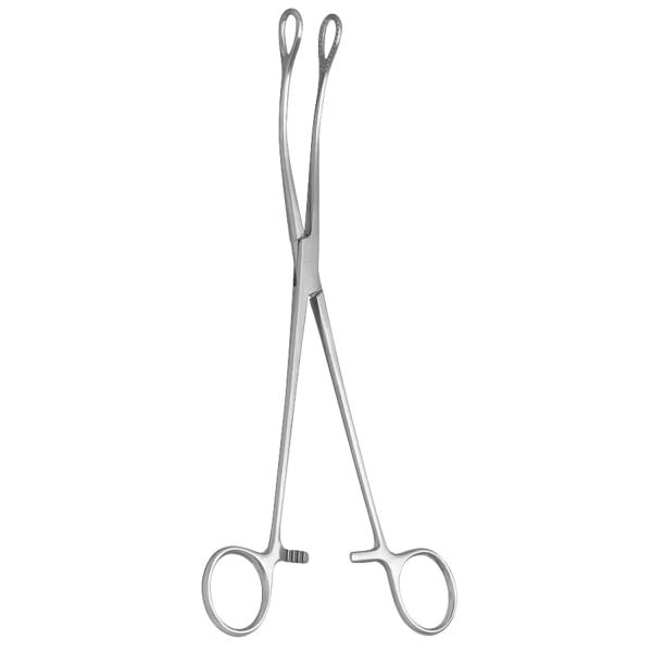 FOERSTER SPONGE FORCEPS CVD SERR JAWS GL660 | Shop STERIS