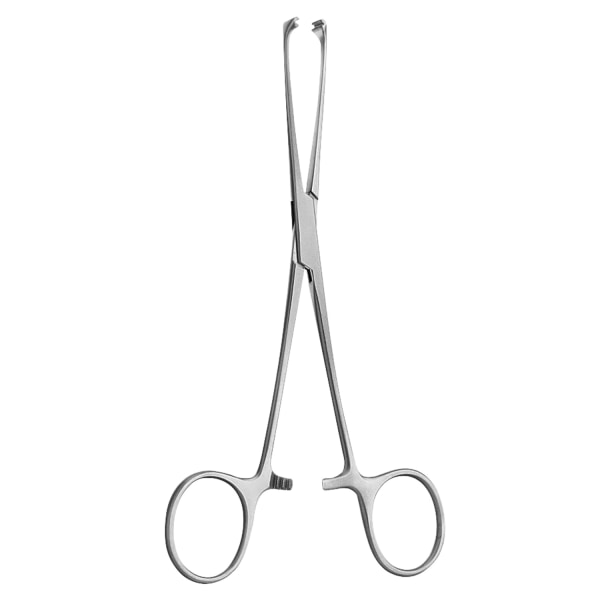 GLASSMAN-ALLIS NO-CRUSH INTEST FORCEP SU6150 | Shop STERIS