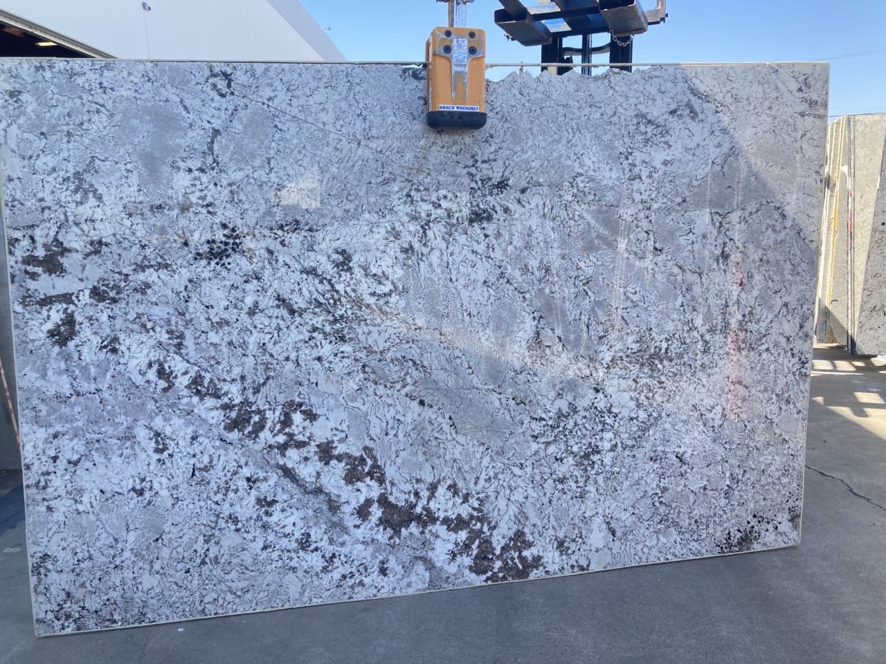 Adonis White Granite by Dal Tile Corporation - StoneTrash