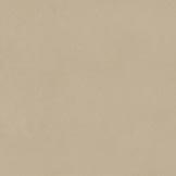 Cream 39x39 Field Tile Porcelain Tile by Florida Tile - StoneTrash