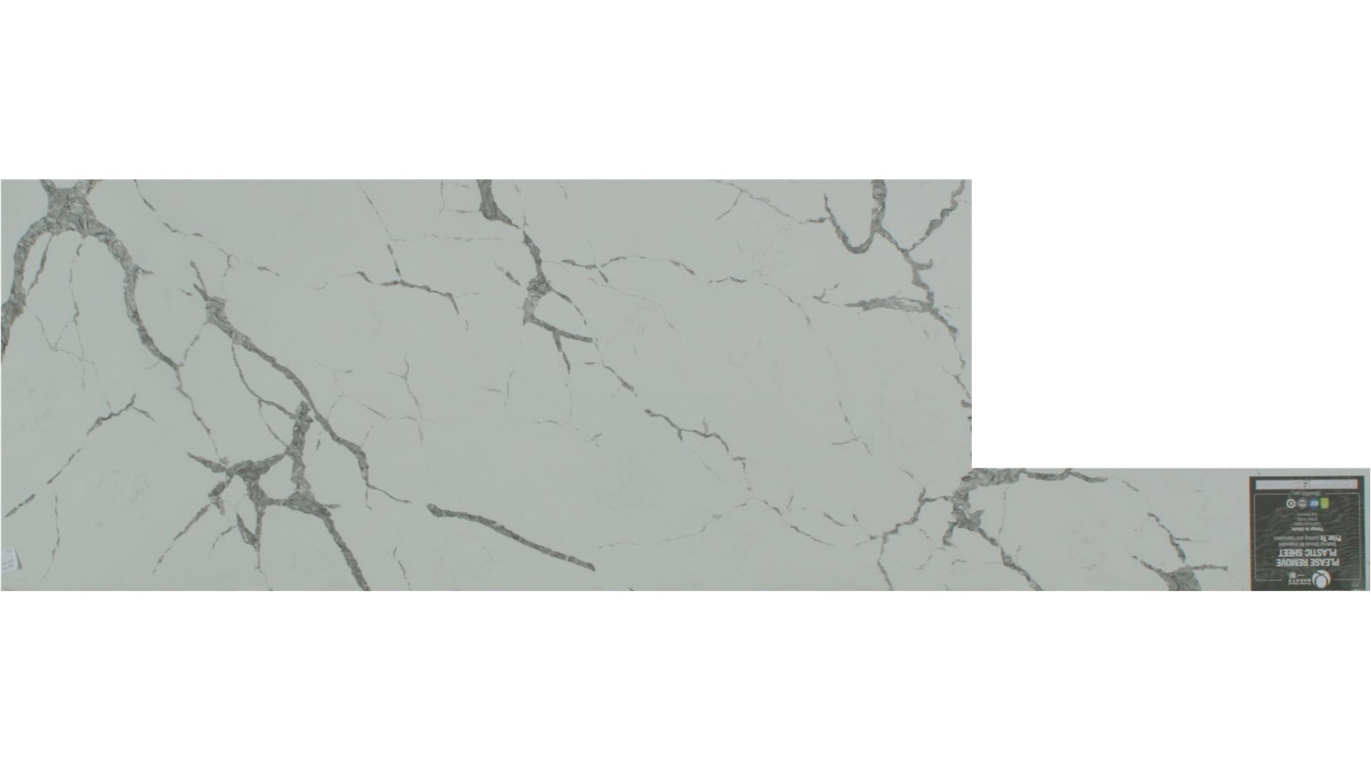 CALACATTA BRUNO Quartz by Q Premium Natural Quartz by MSI - StoneTrash