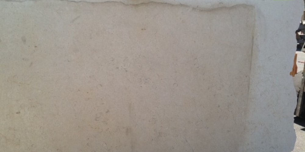 White Fossil Limestone Limestone - StoneTrash