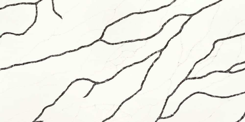 Calacatta Laza Night Quartz by Q Premium Natural Quartz by MSI - StoneTrash