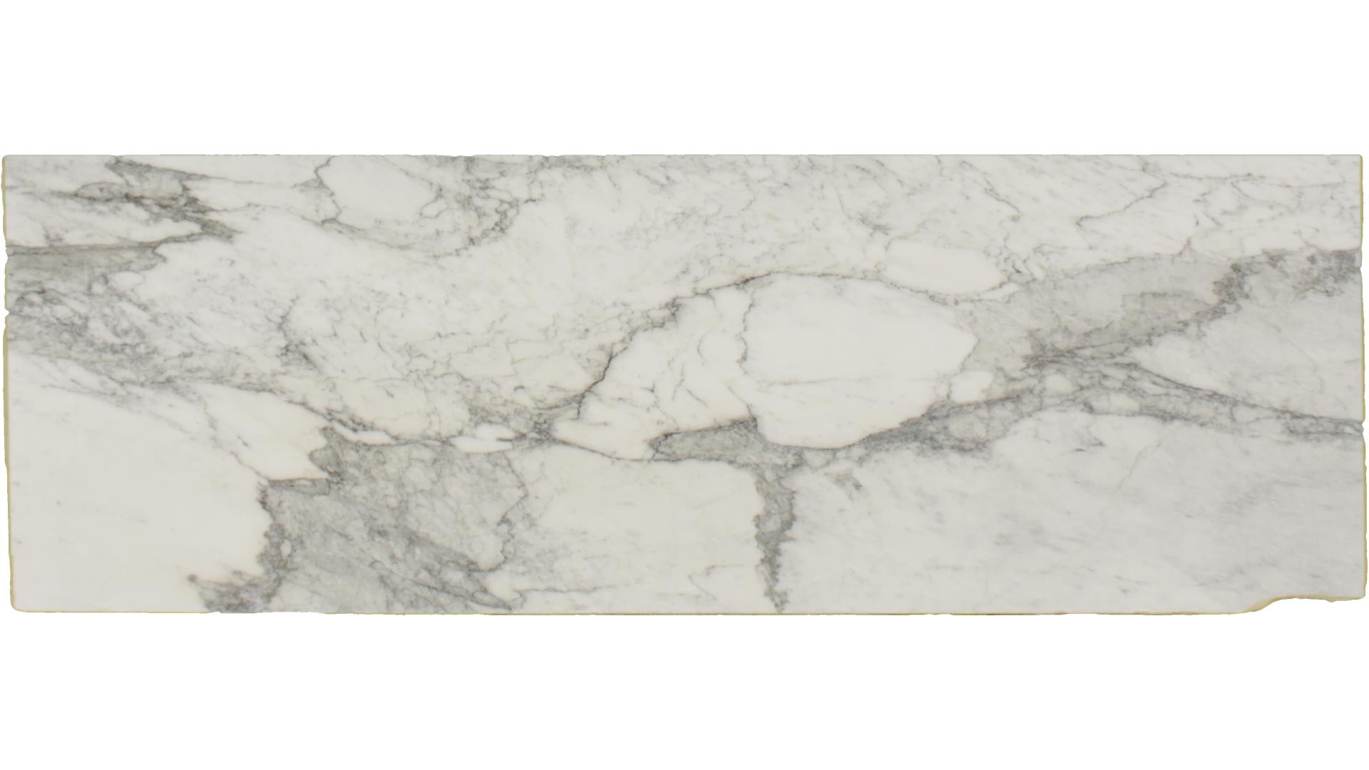 Calacatta Altissimo Marble - StoneTrash