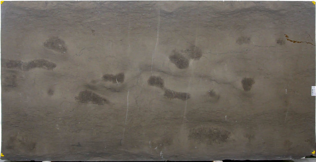 Grey Foussana Limestone - StoneTrash