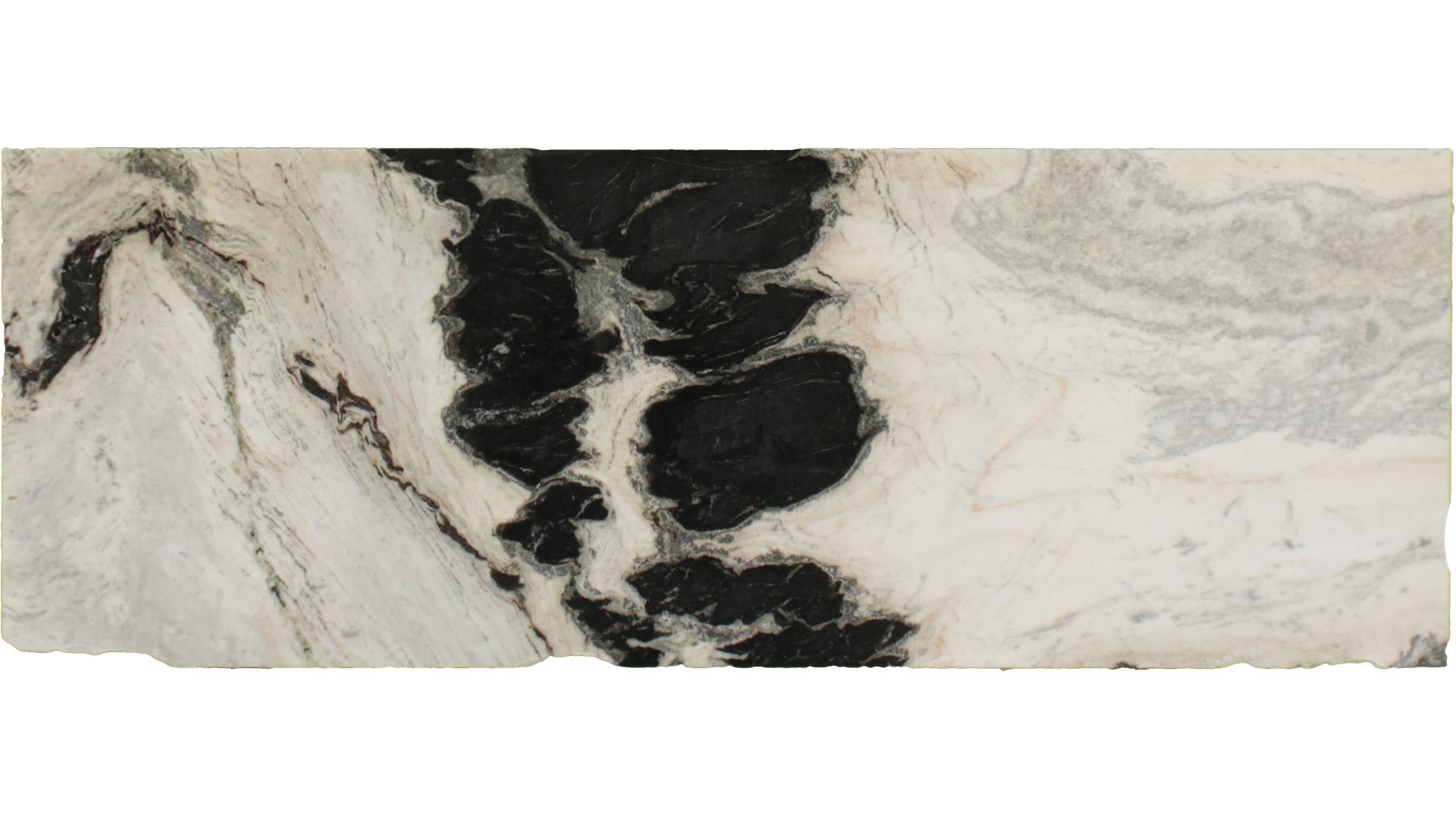 Dalmatian Marble - StoneTrash