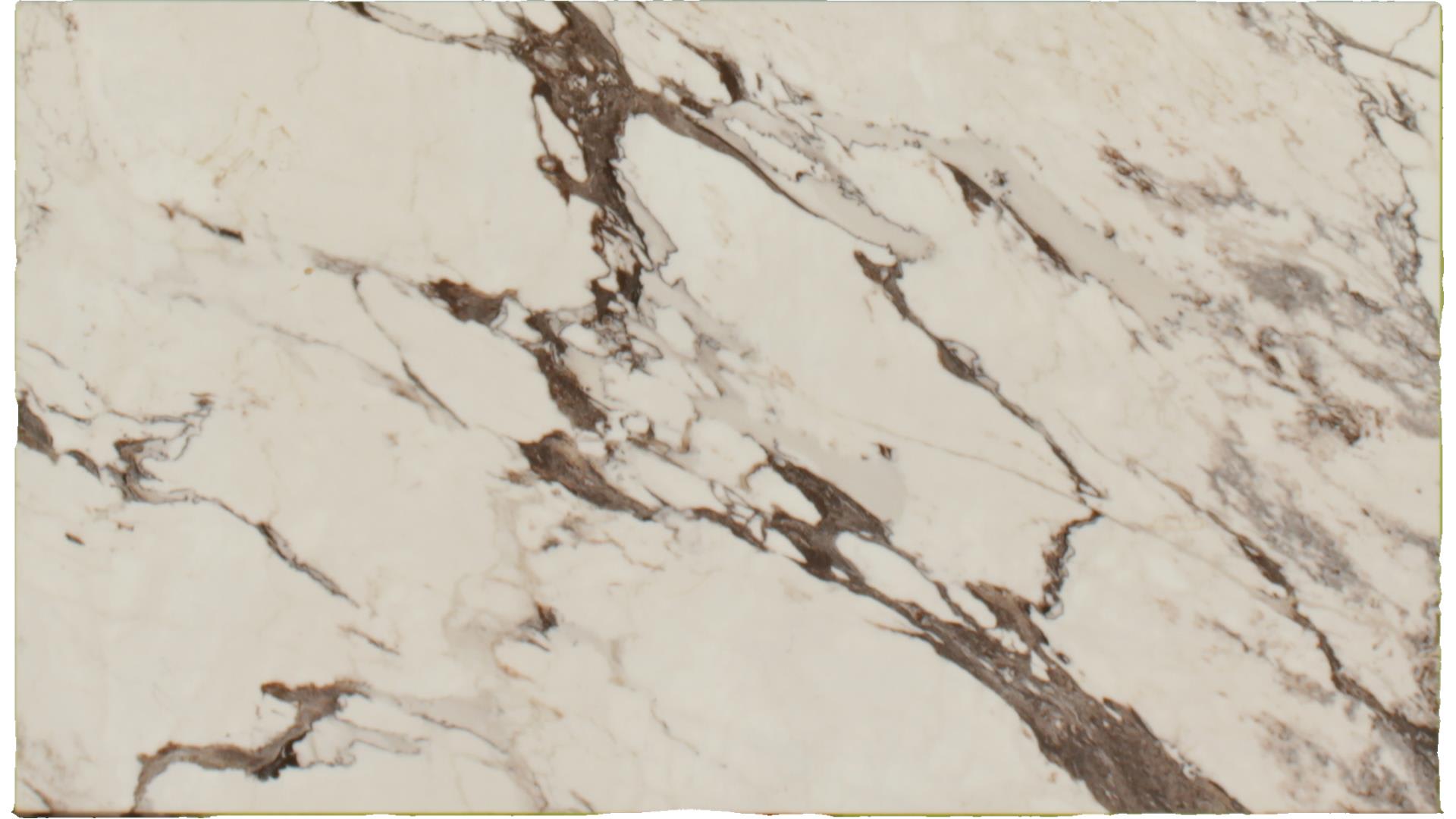 Calacatta Aries Compact Surface - StoneTrash