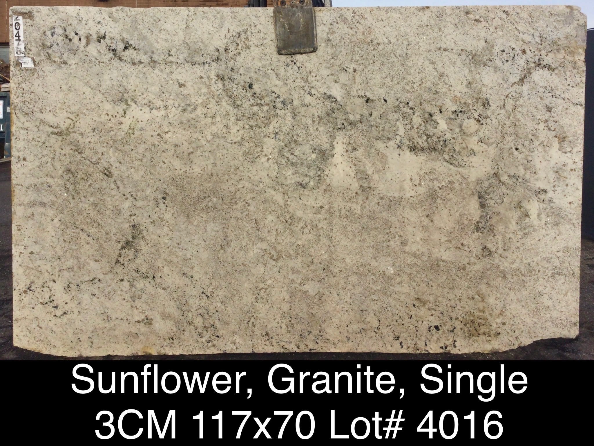 Sunflower Granite - StoneTrash