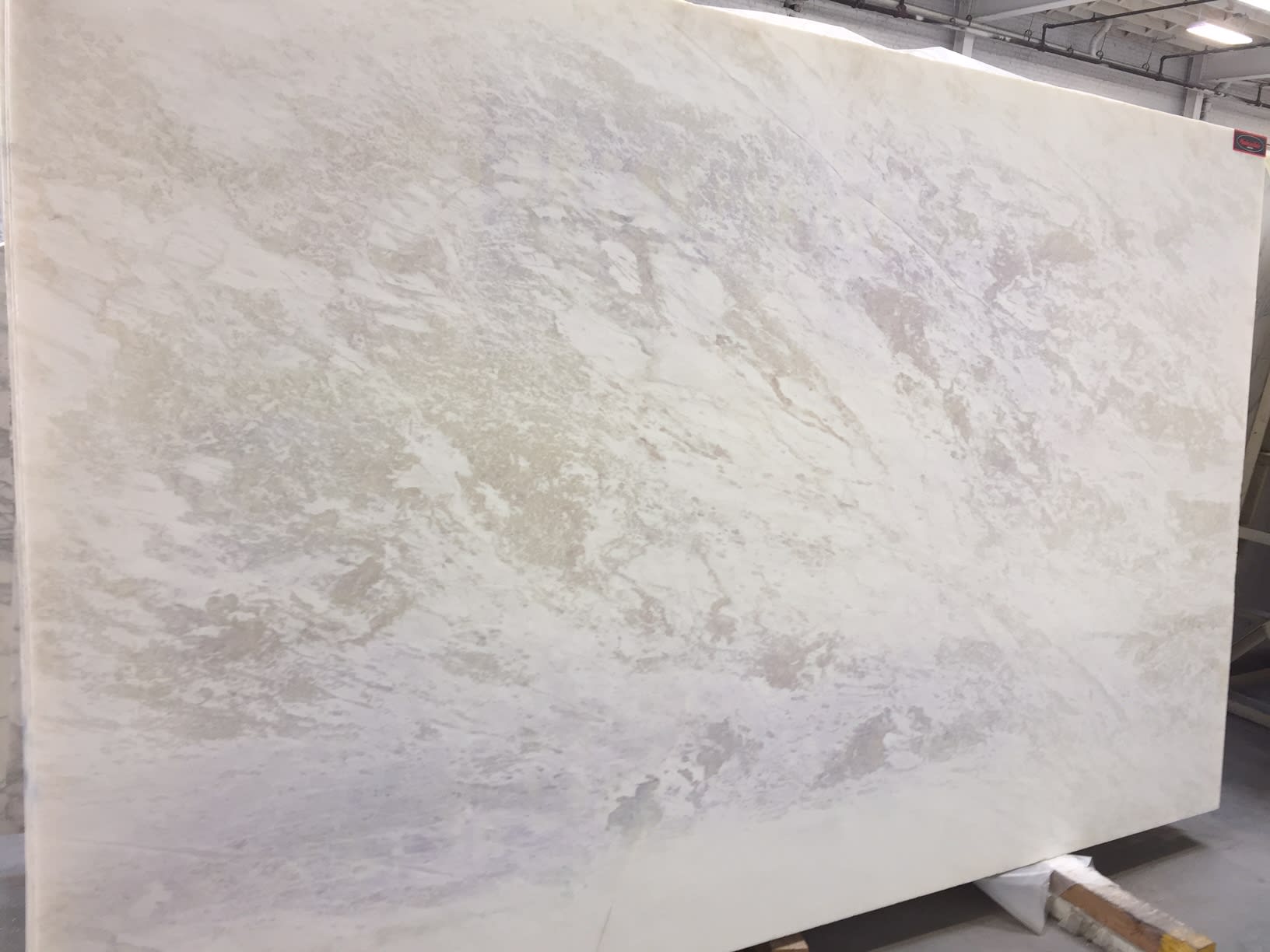 BIANCO RHINO Marble - StoneTrash