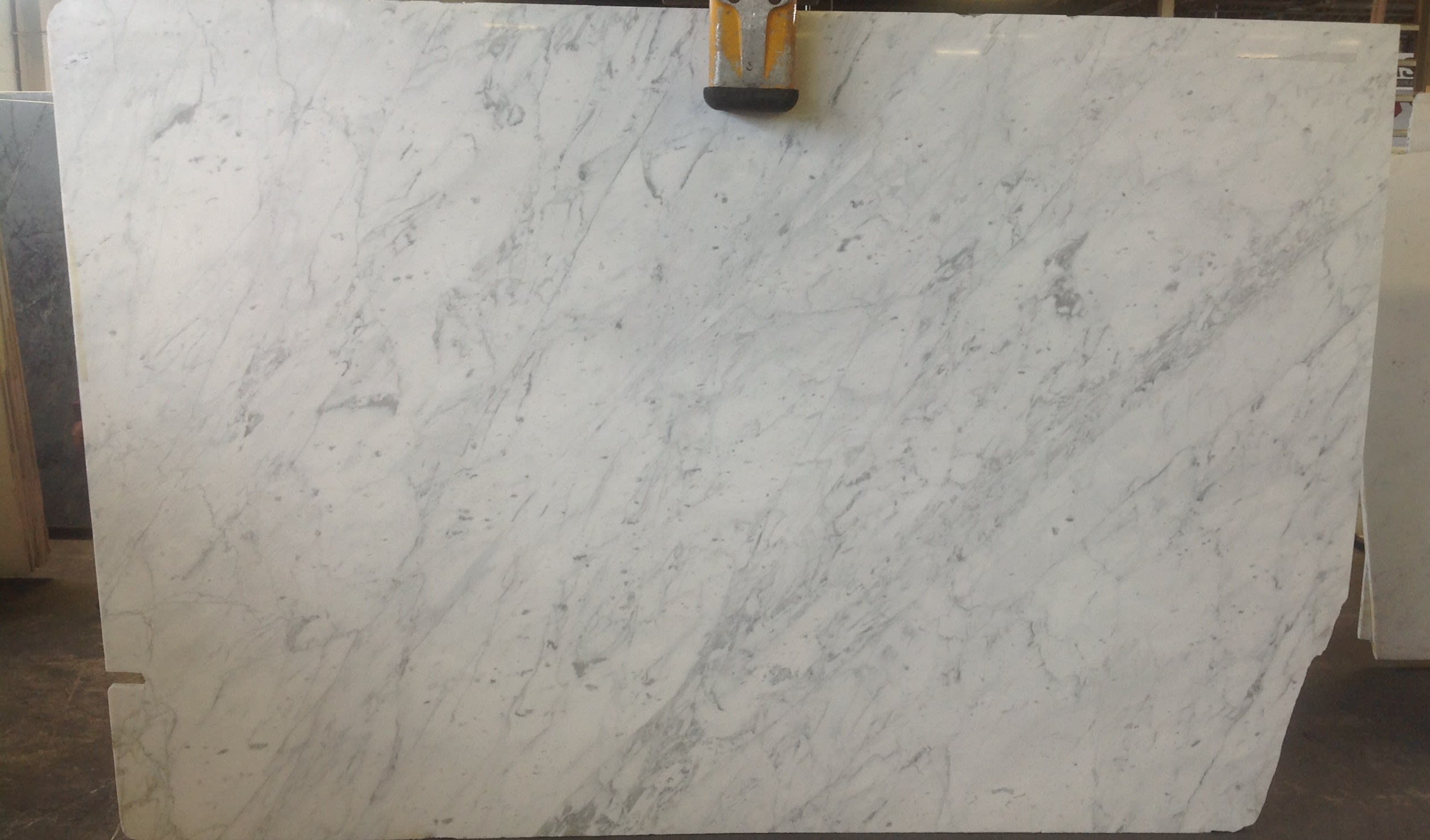 STATUARIETTO MARBLE Marble - StoneTrash
