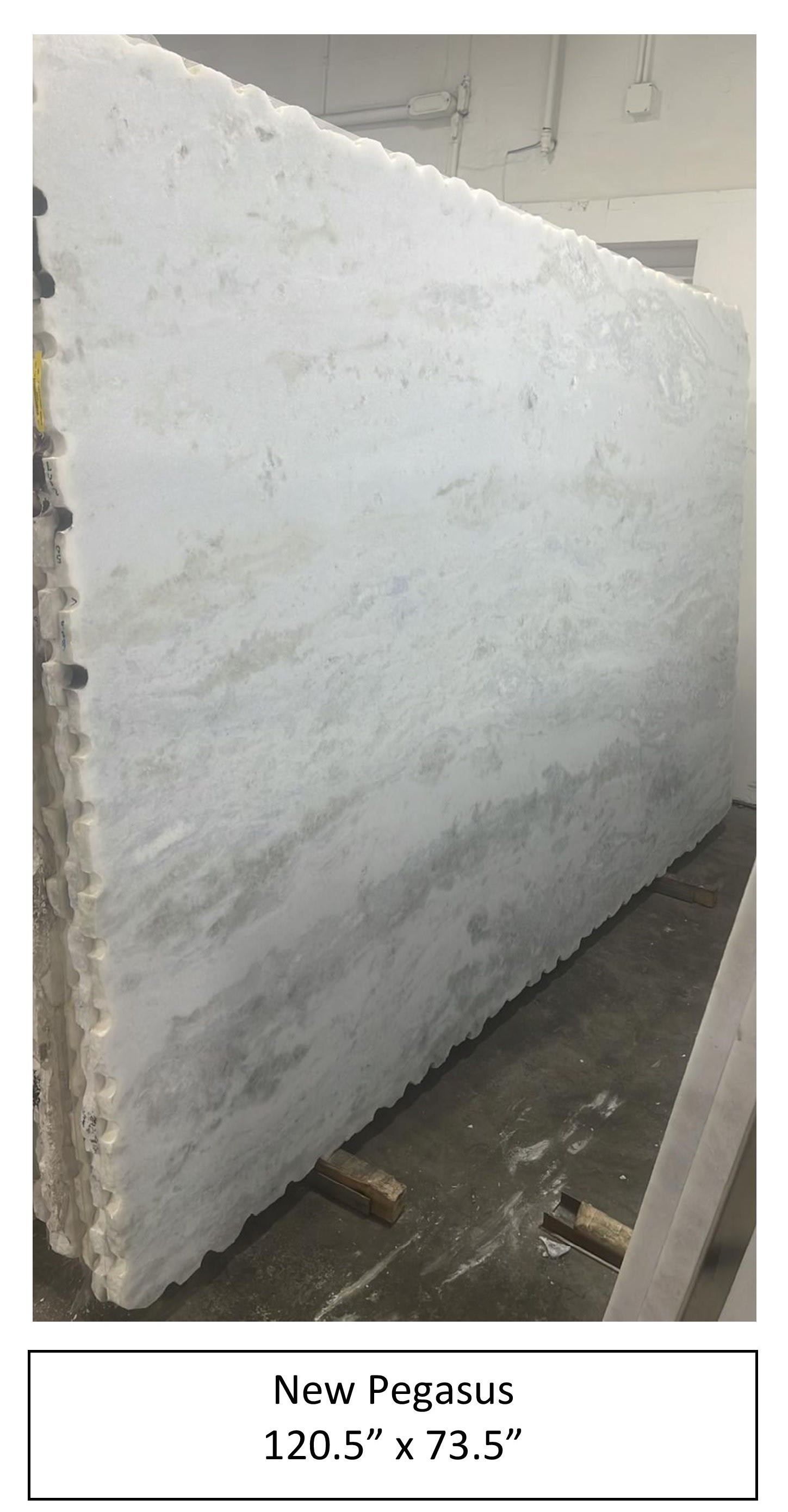 Pegasus Quartzite - StoneTrash