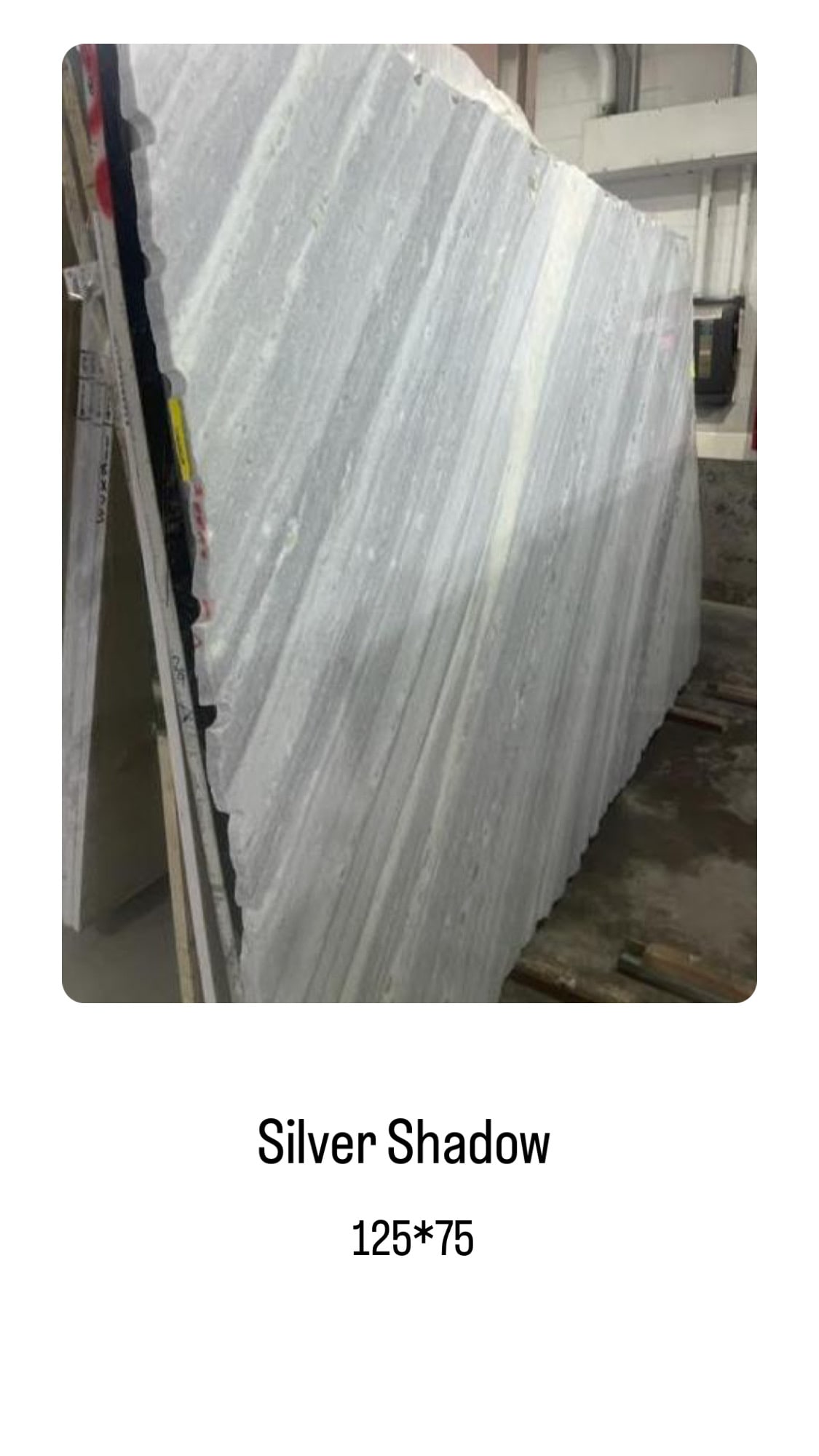 Silver Shadow Quartzite - StoneTrash