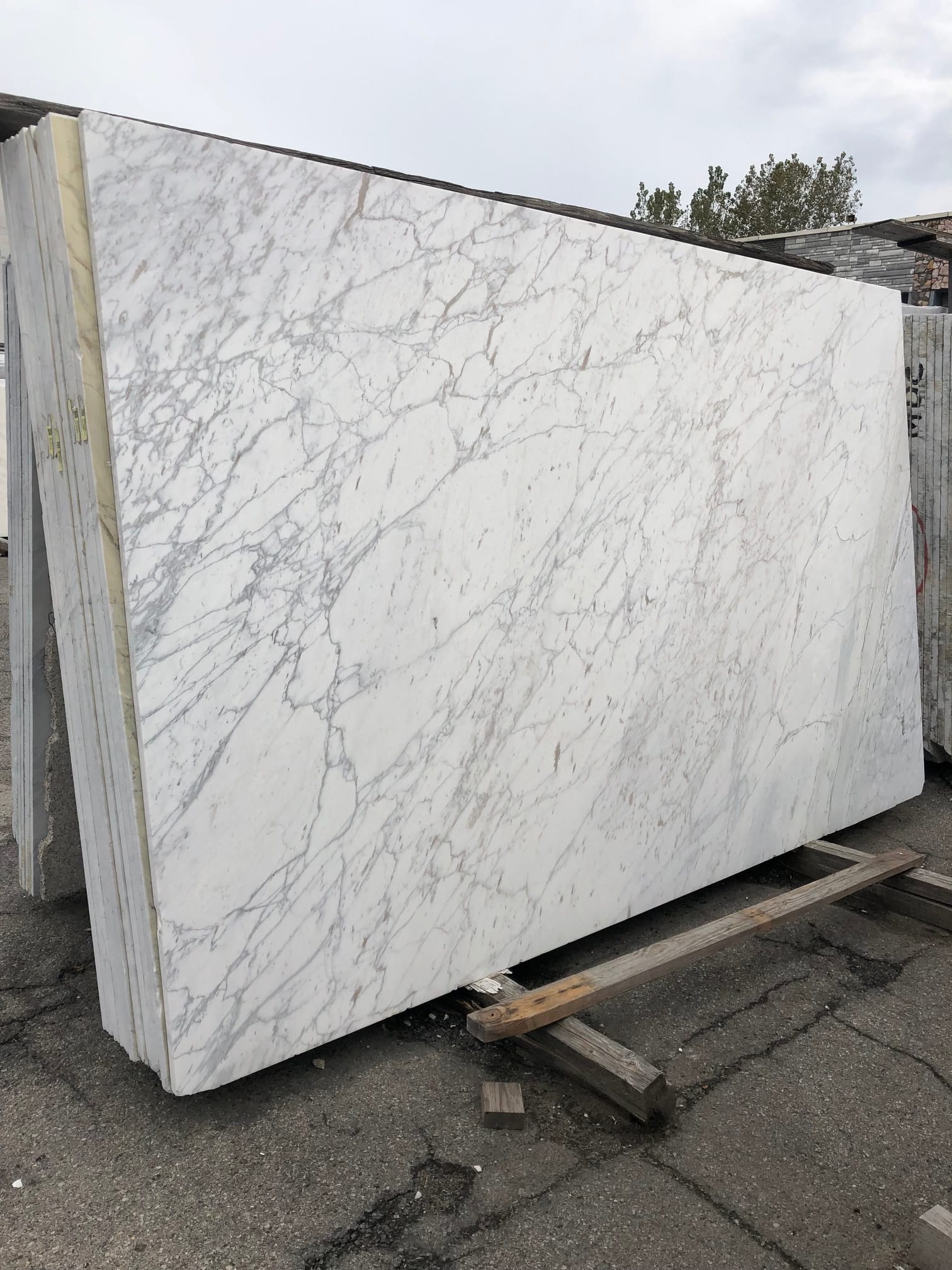Calacatta Fine Marble - StoneTrash