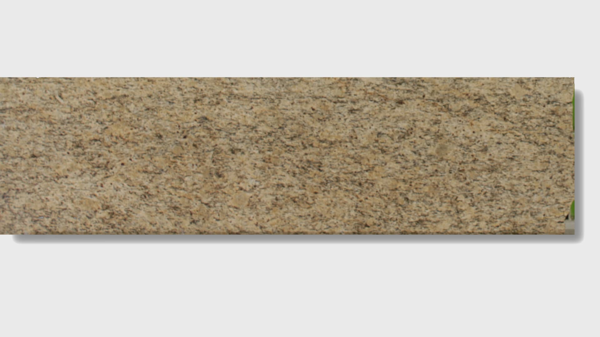 St. Cecelia Granite - StoneTrash