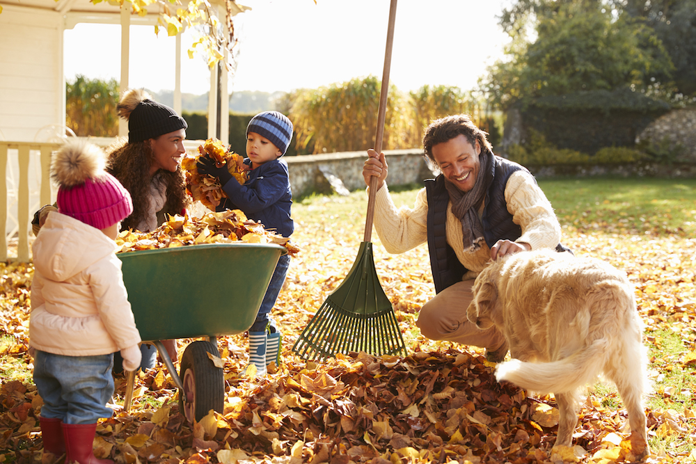 How To Properly Rake Leaves: Our 3 Basic Steps For You | Keylock Storage