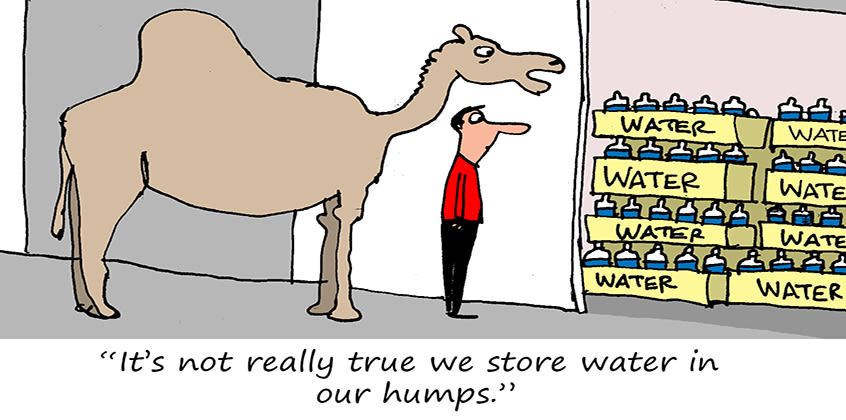 Funny Friday: Camel Storage by Kelly Kamowski | Storagefront