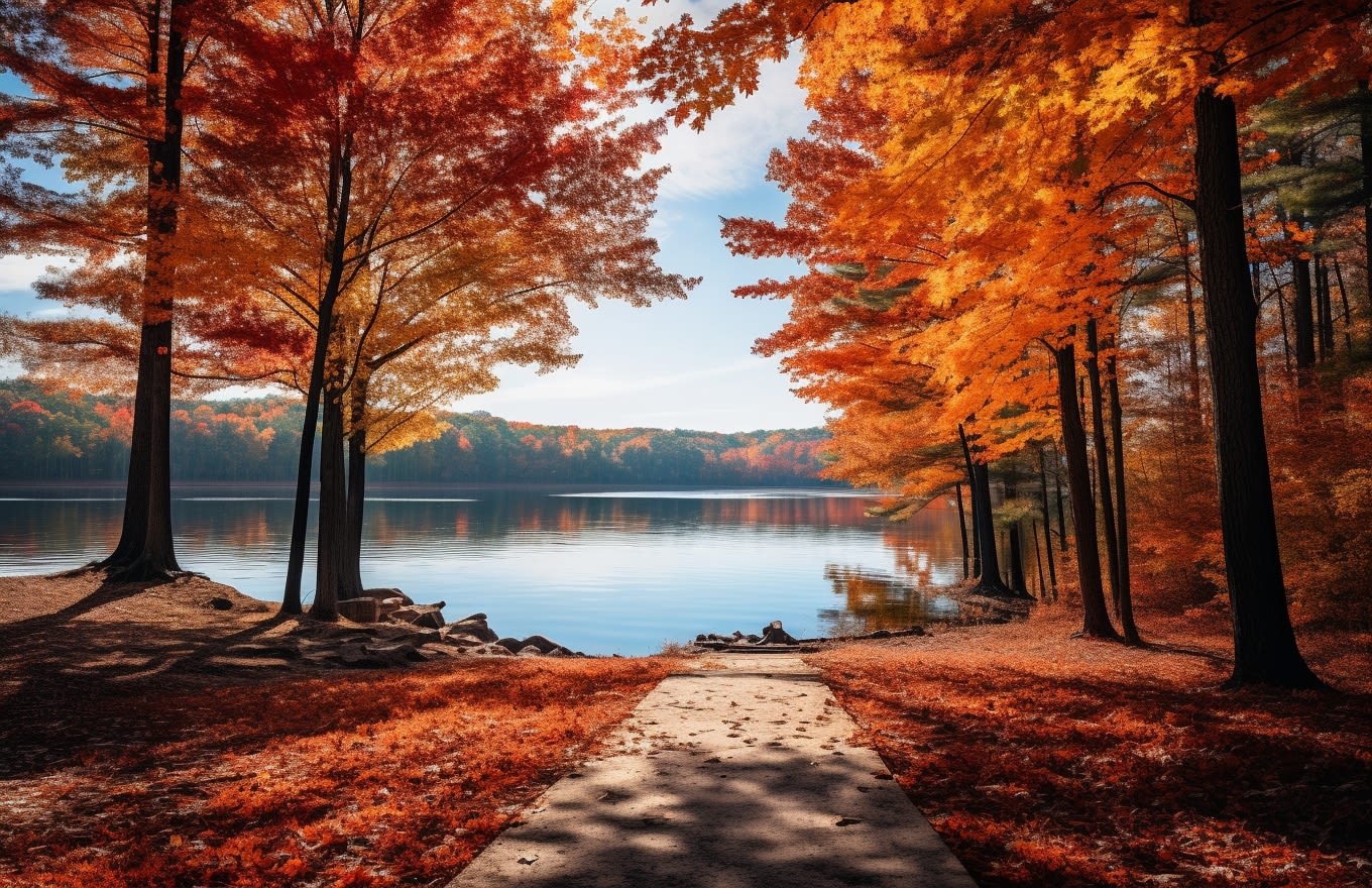 Fall Foliage in Virginia: Your Ultimate Guide to Autumn Leaves