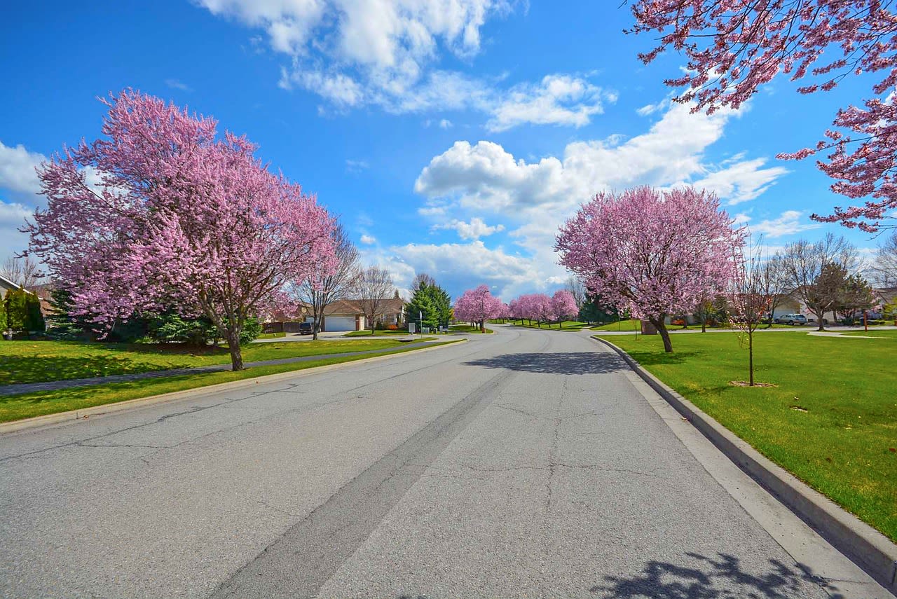 Our List of The Best Neighborhoods in Modesto