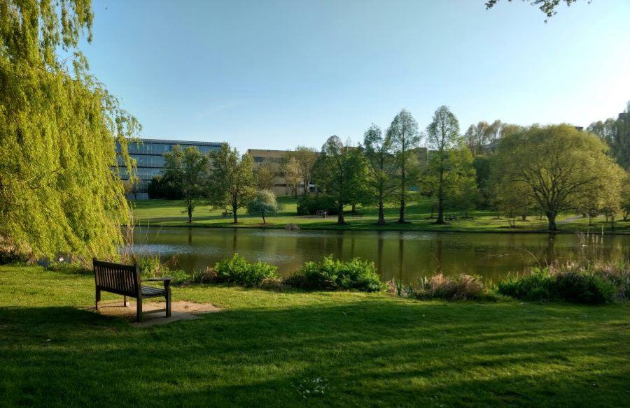 The Best Parks Near Murrieta, CA | StaxUP Storage