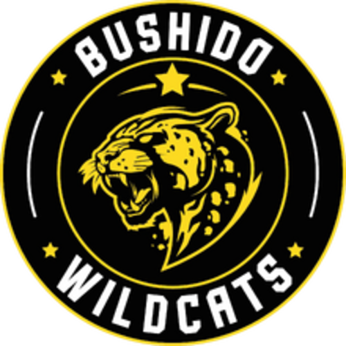 Bushido Wildcats vs BBL Dark Passage | 2025-07-31 | Regular Season