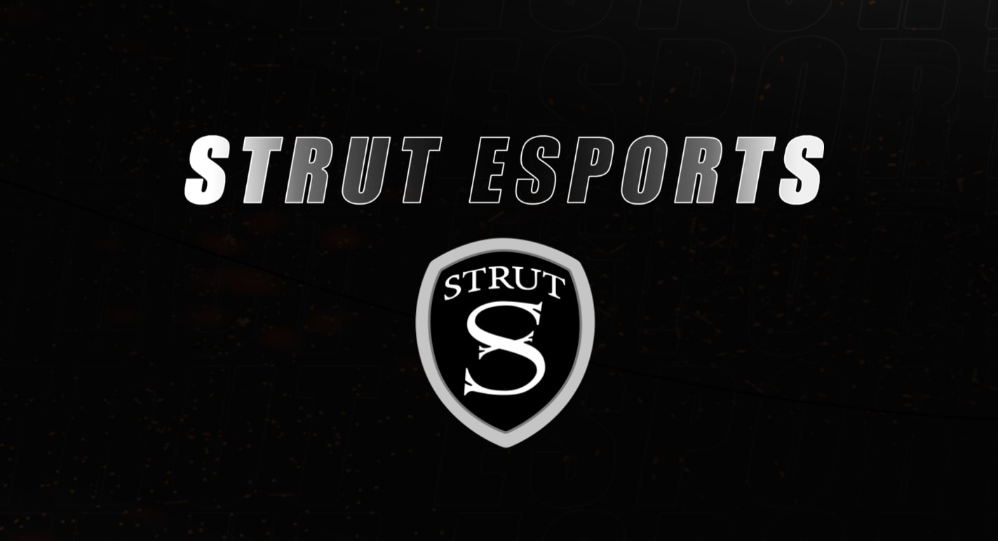 STRUT Esports – Esports Team for STRUT