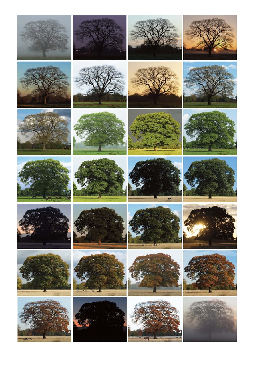 Gallery / Stuart Baker Fine Art