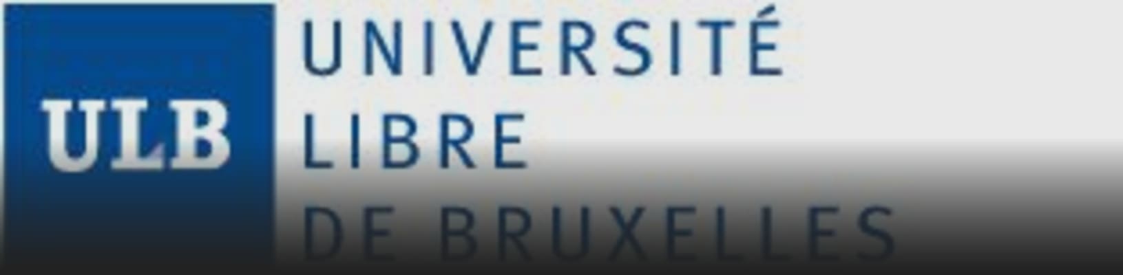 Découvre nos 137 stages en IT (développement & graphisme) ici | Student.be